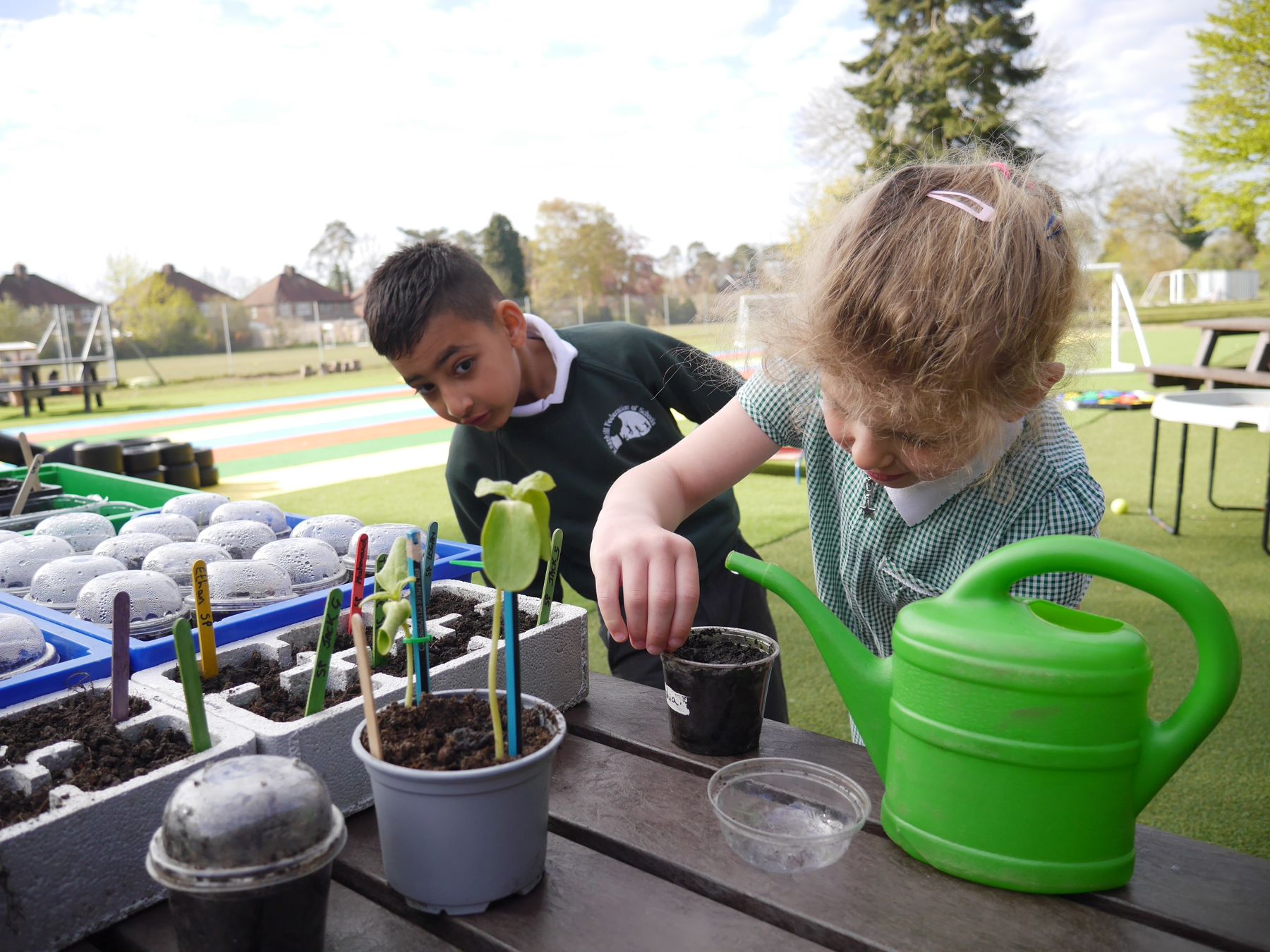 Home - Knaphill Federation of Schools